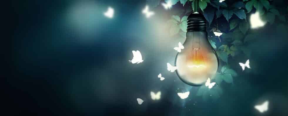 Why are insects attracted to light? - Delta Extermination